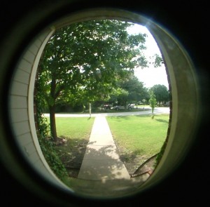 What are Lenses of Perception? | Lenses of Perception